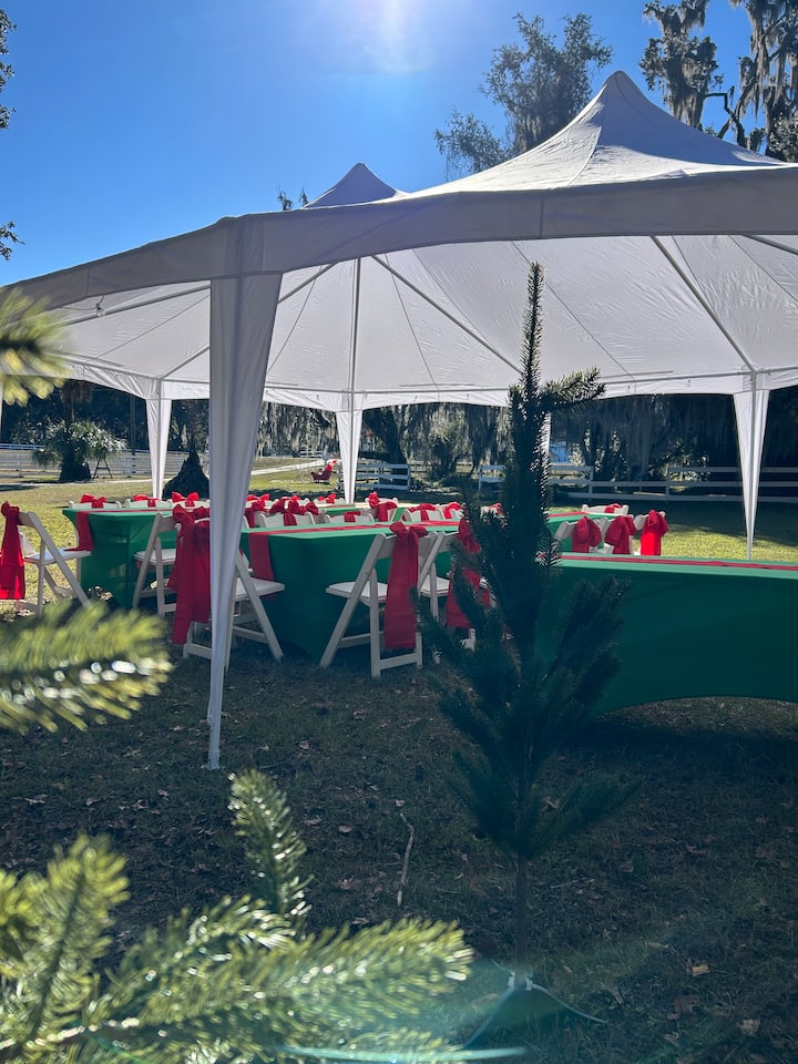 Micanopy Winery
20 Min From Gainesville And Ocala - Lochloosa Lake, FL