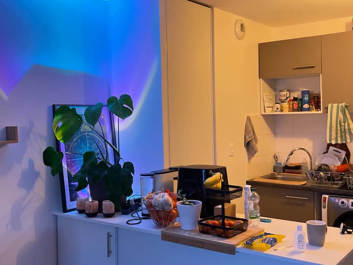 Chambre Cosy Avec Balcon-métro - Toulouse