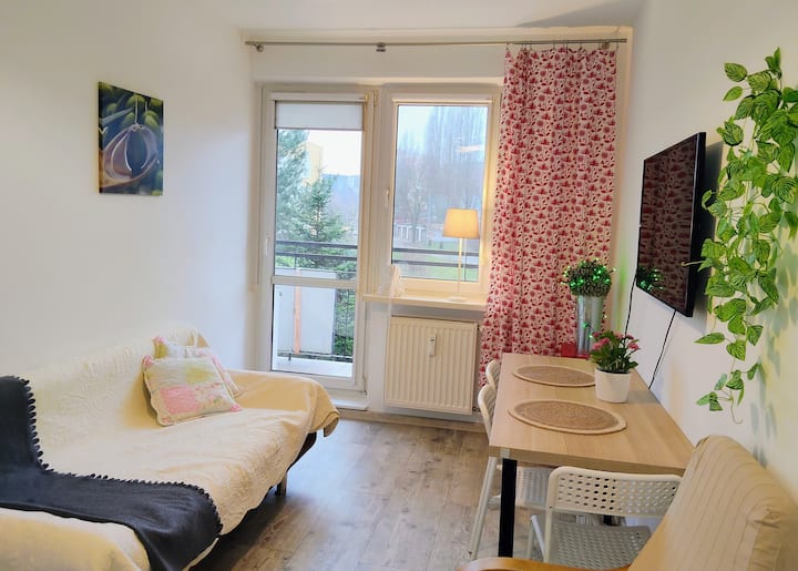 Grunwald Spacious Apartment - Poznań