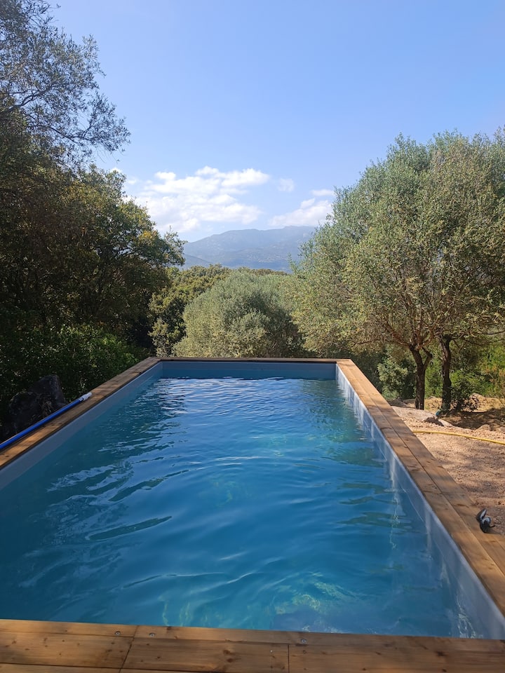 T1 Dans Le Maquis - Porto-Vecchio