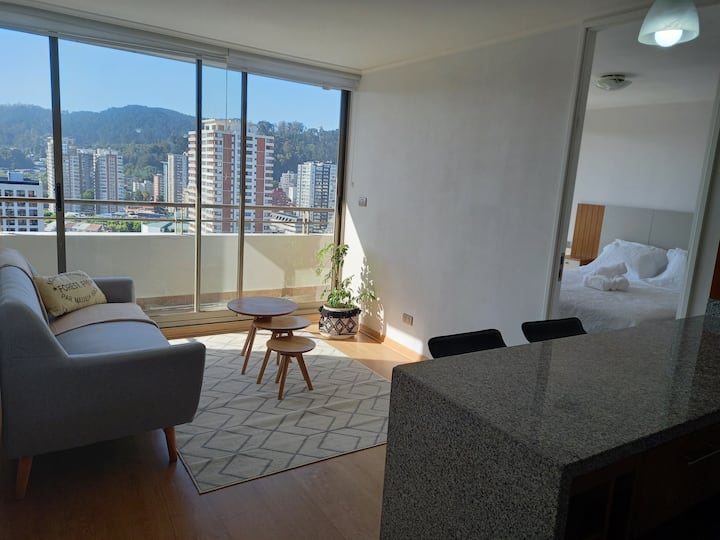 Dpto. Con Gran Vista, Wifi Y Estacionamiento - Concepción, Chile