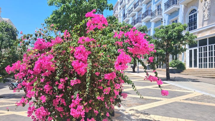 Căn Hộ Studio Giá Rất Tốt, Du Lịch 2 Người Siêu Rẻ - Phú Quốc