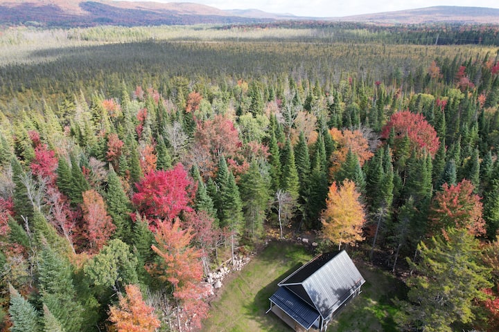 *Adirondack Private Cabin* Pet Friendly*new Home* - Adirondack Mountains