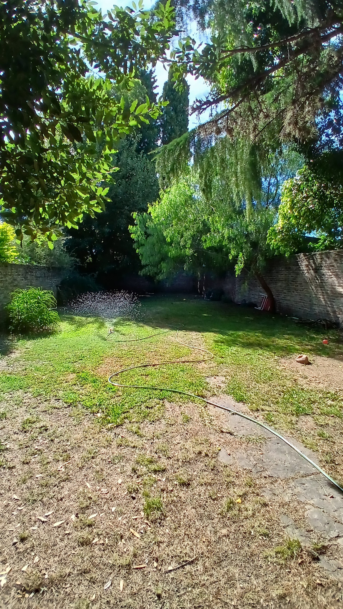 a space to disconnect from the noise and rest. - Casa particulars (Cuba ...