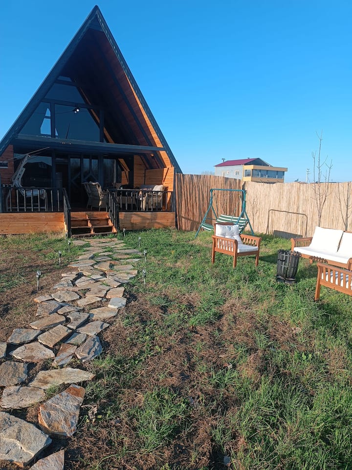 Elvin Bungalov - 