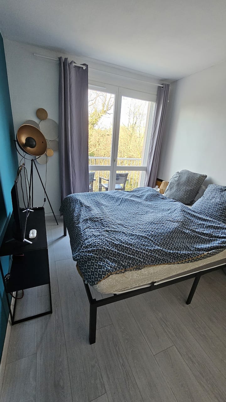 Chambre Avec Balcon Face Forêt - Torcy