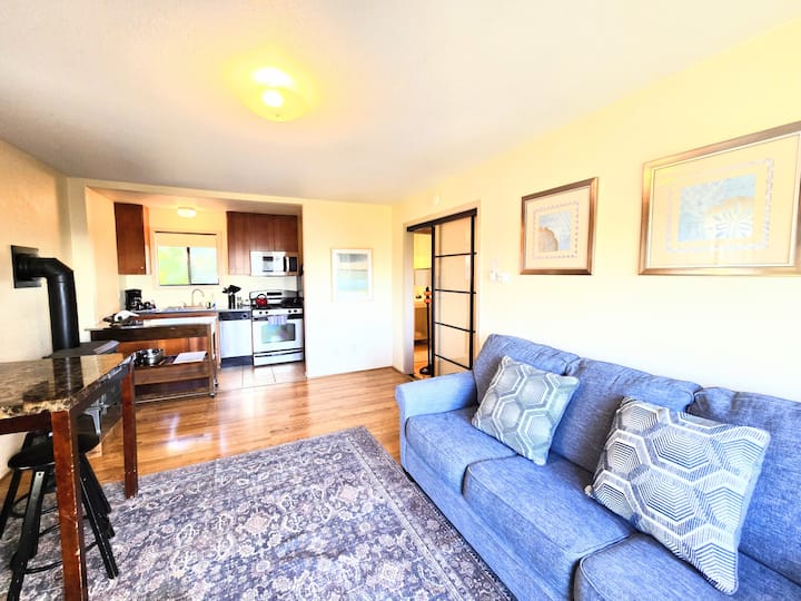 Ocean View Mendocino Cottage - Mendocino, CA