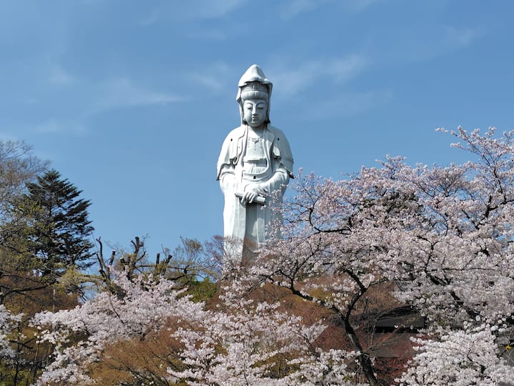 Spring Sp/ Cherry Blossoms & Strawberry Picking - Takasaki
