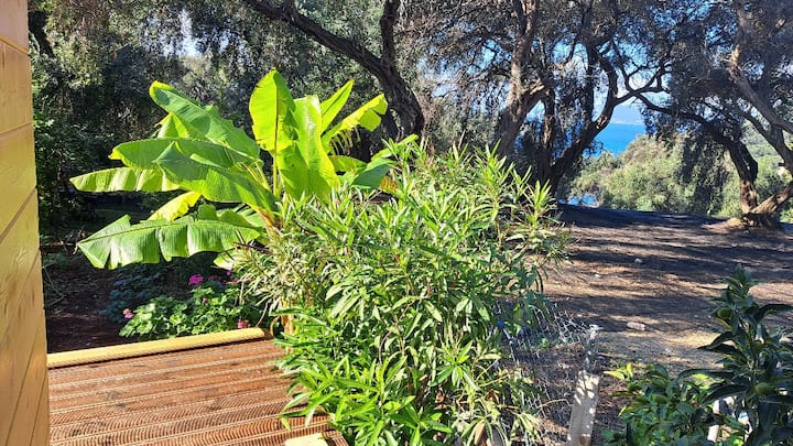 Garden Cottage.η ηρεμία της φυσης - Corfou