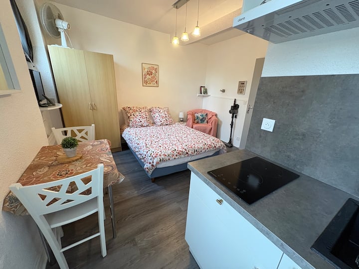 250 Mètres Des Thermes, Joli Studio Au Calme ! - Eugénie-les-Bains