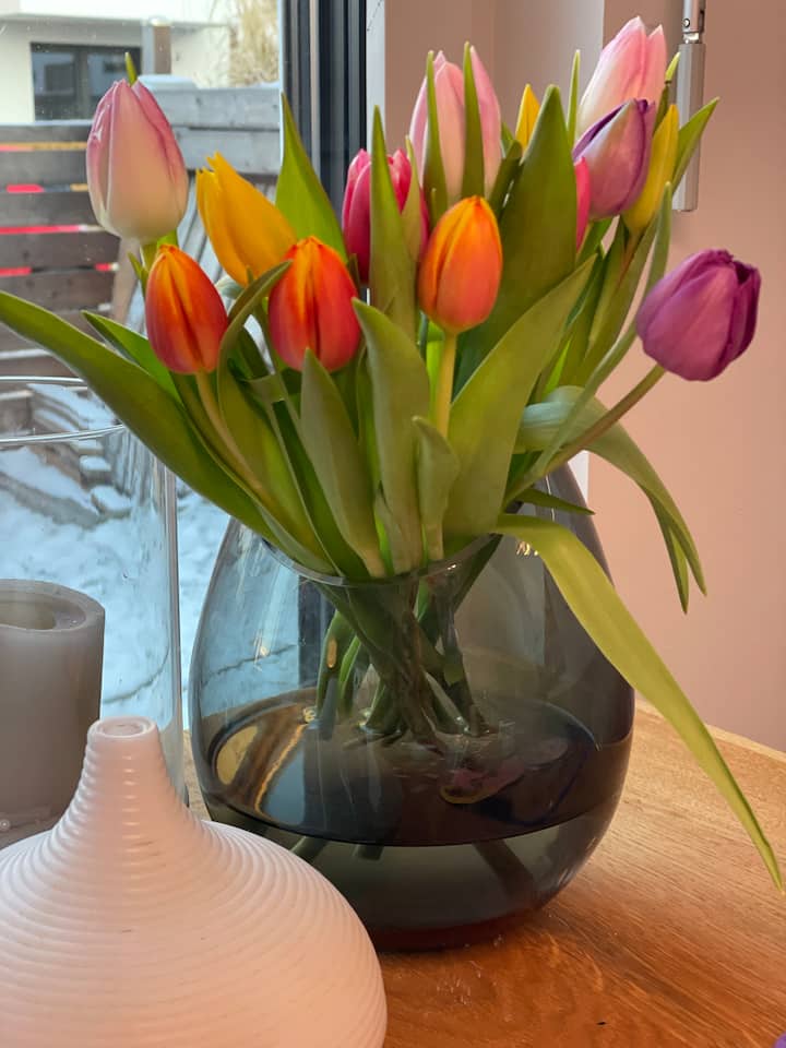 Familienfreundliches Gut Gelegenes Haus In München - Munich