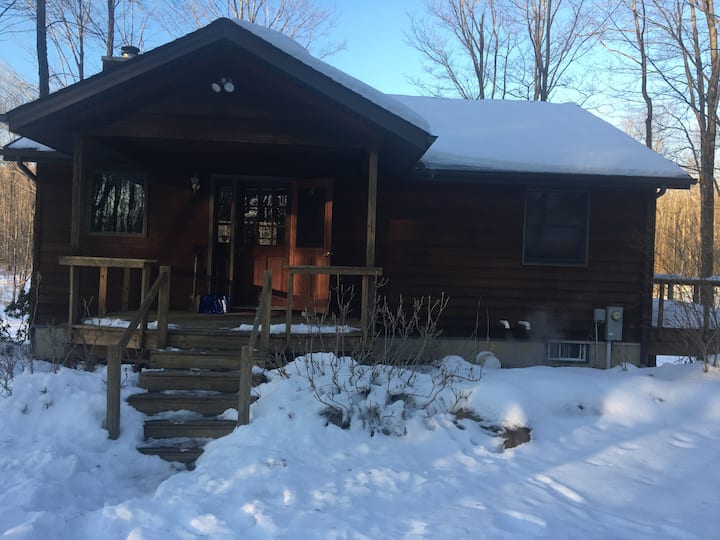 Cabin In The Woods - Chautauqua, NY