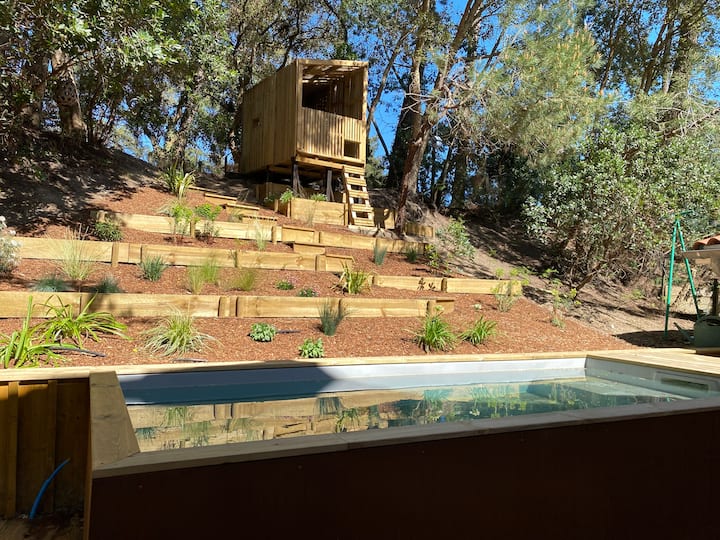 Maison Hossegor Avec Piscine - Hossegor