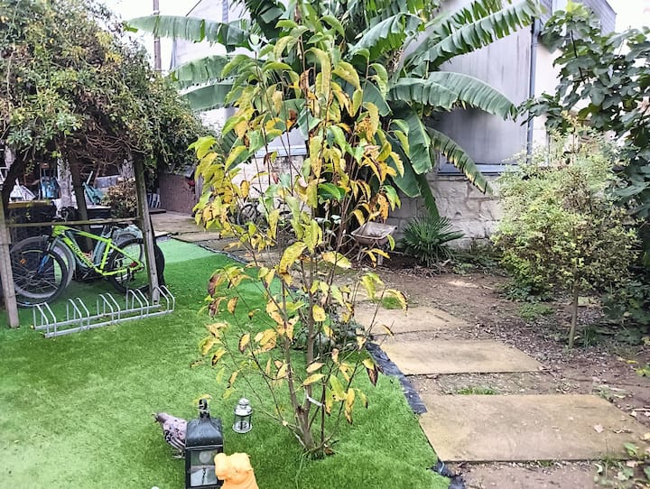 Grand Hébergement Citadin Avec Jardin Arboré - Saumur