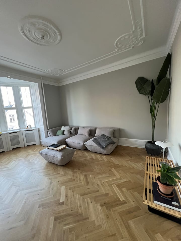 Luxury Flat In Copenhagen - Copenhague