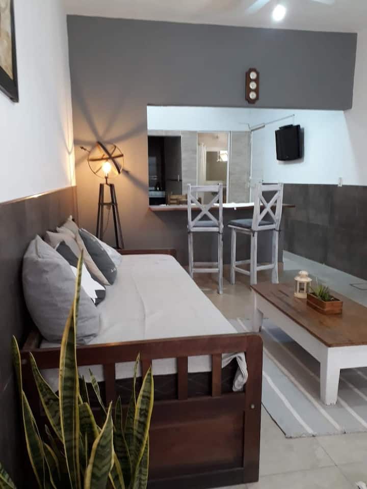 Grey's 
Apartamento Temporario - Concordia