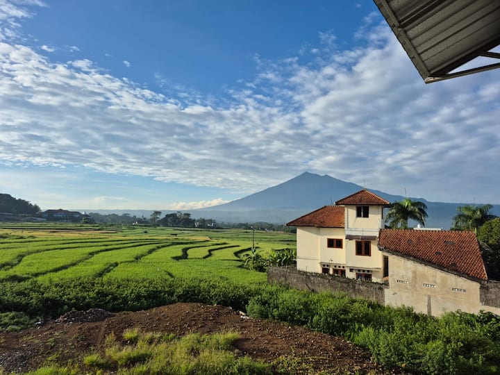 New D’katu Guest House - Salatiga