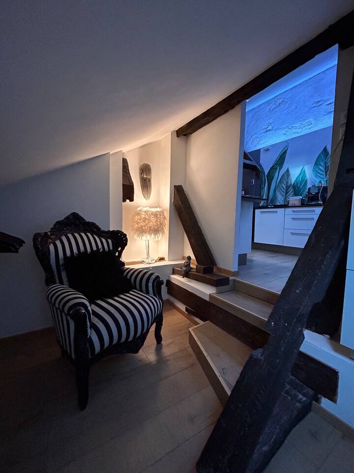 Loft I Gemelli - Montbéliard