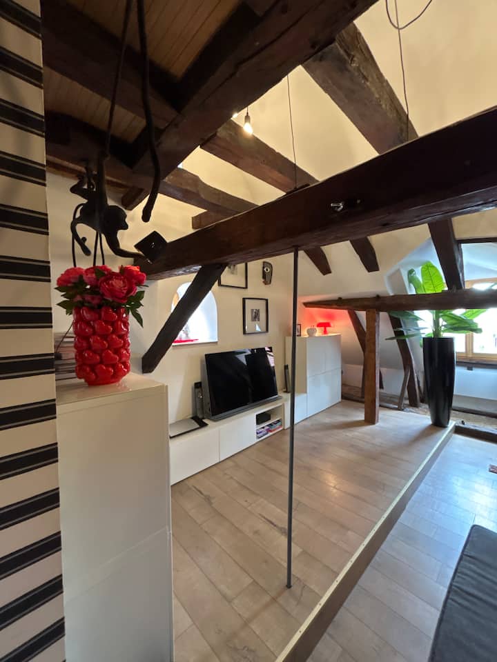 Loft I Gemelli - Montbéliard