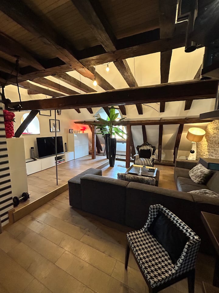 Loft Design Au Cœur De Ville Historique - Sochaux
