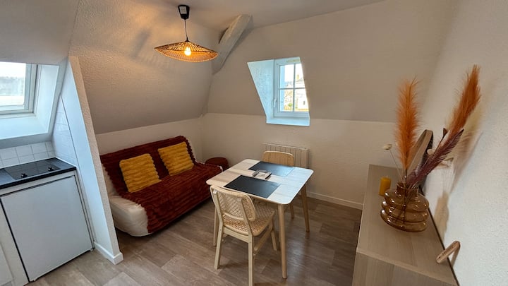 L'escale&nbsp;- Spacieux Studio Centre-ville Laval - Laval