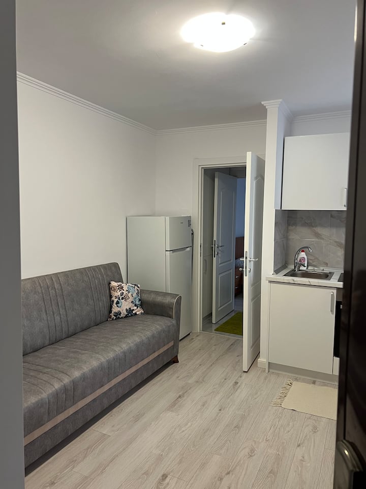Apartament Central - Siret