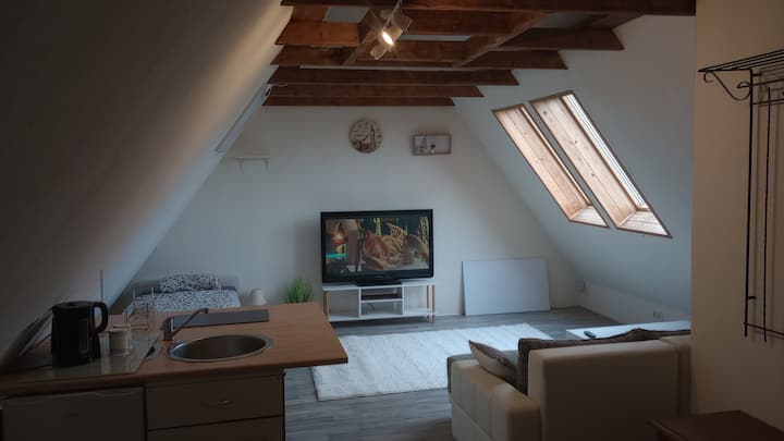 Eulennest Oststadt - Dollbergen