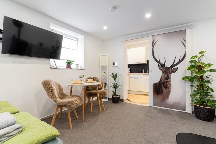 Litzi's Schwarzwald Apartment Mit Kamin - Achern