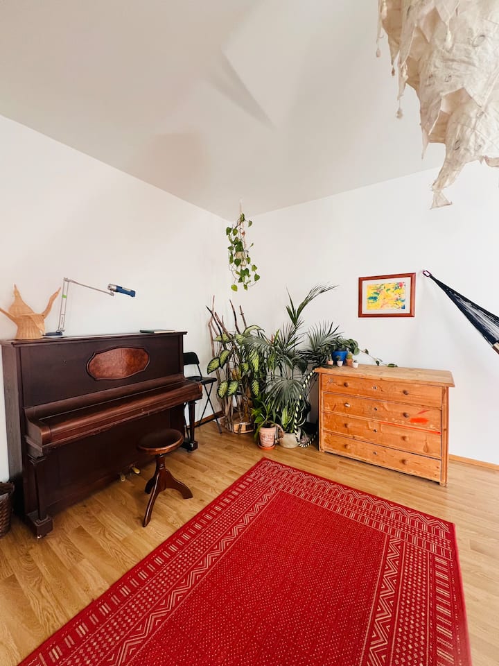 Große Zentrale Wohnung - Innsbruck