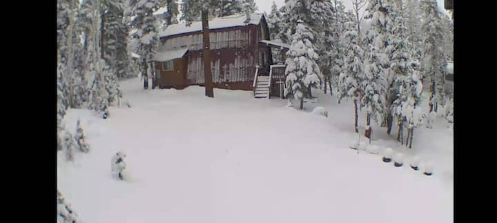 Nature's Charm - Navajo Lake, UT