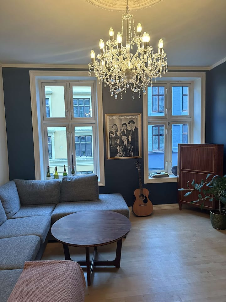 Rom I Klassisk Og Sentral Leilighet - Oslo
