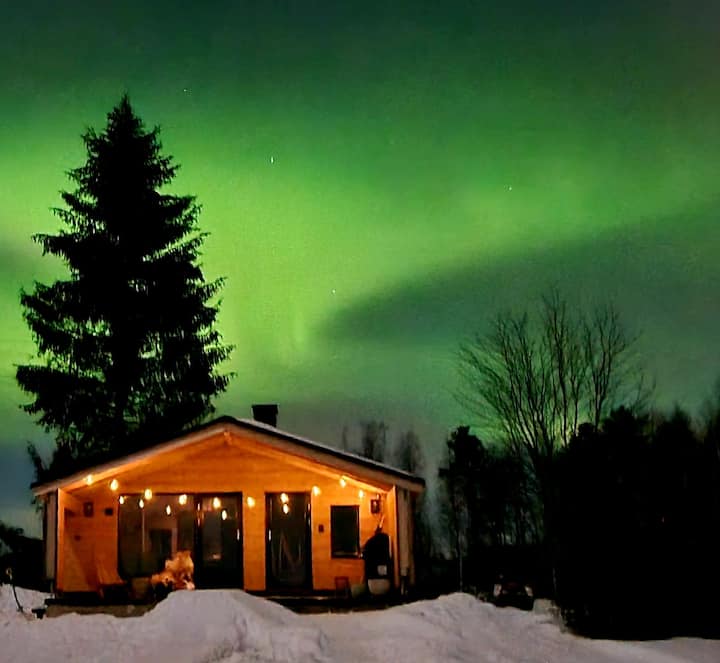 Villa Löyly | Jyväskylä | Laukaa | Fjallenvillas - Finland