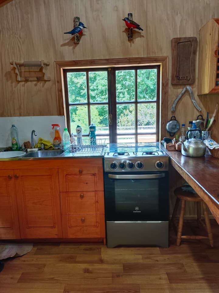 Súper Tranquilo Y Agradable ( Cabaña Los Coihue - Lago Ranco