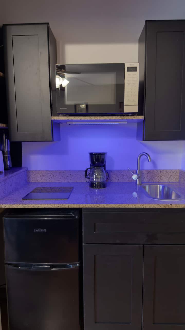 Studio • King Bed • Mini-kitchen • Wifi /Nudists-5 - Land O' Lakes, FL