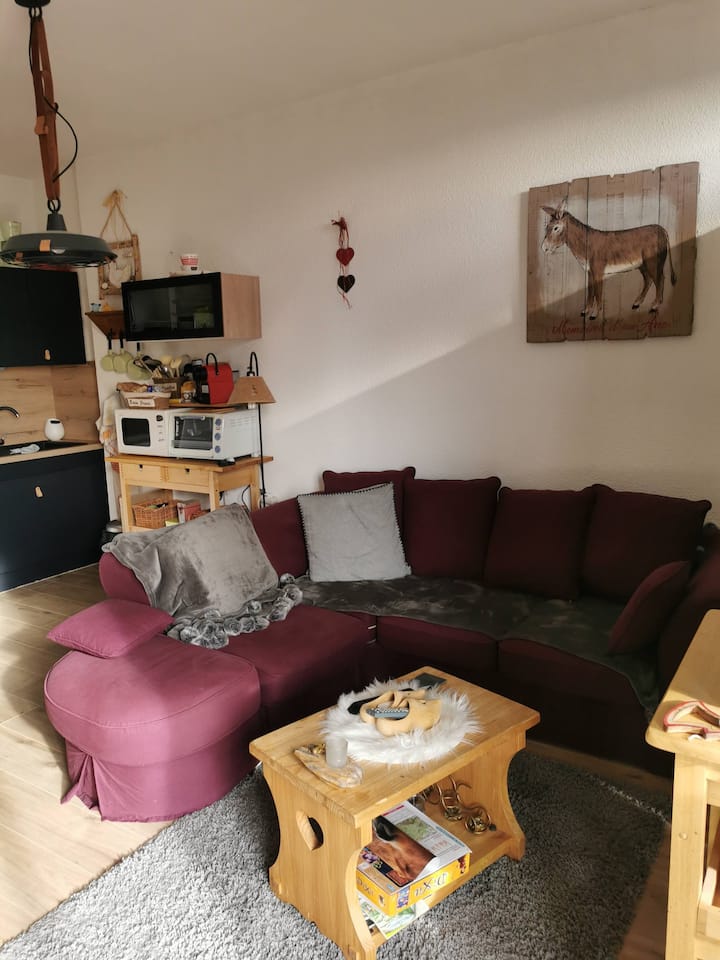 Appartement Plein Sud Spacieux - Font-Romeu-Odeillo-Via