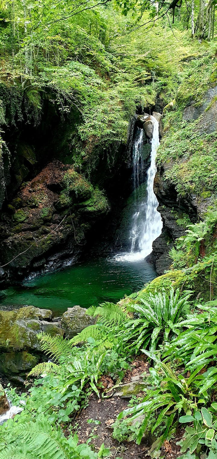 Havre De Paix En Montagne Classé 3 éToiles - Ariège
