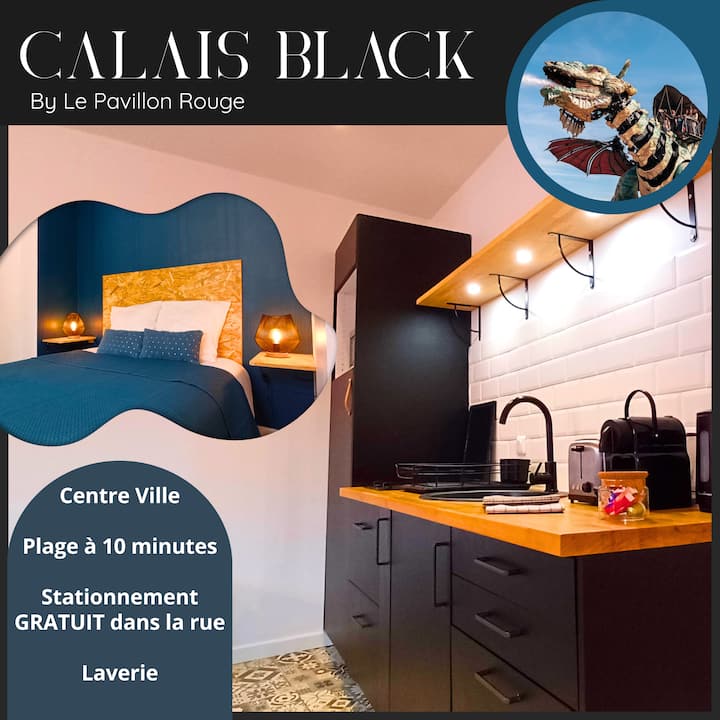 Appartement Contemporain 4 Personnes Calais Centre - Pas-de-Calais