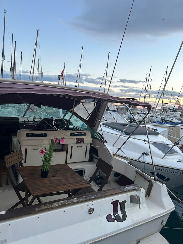 Lovely Little Boat Moored In The Harbour Torreviej - San Miguel de Salinas