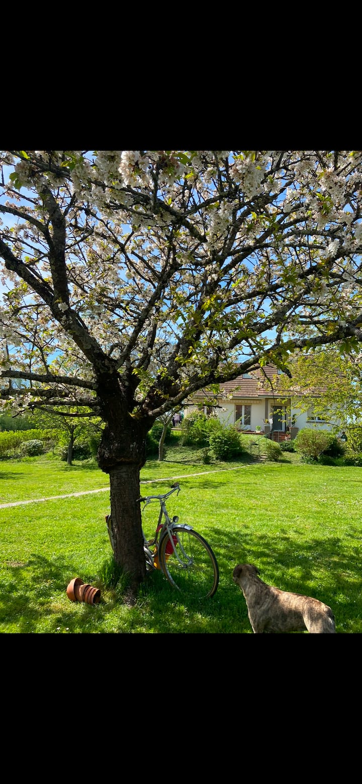 Maison De La Forêt - Auxonne