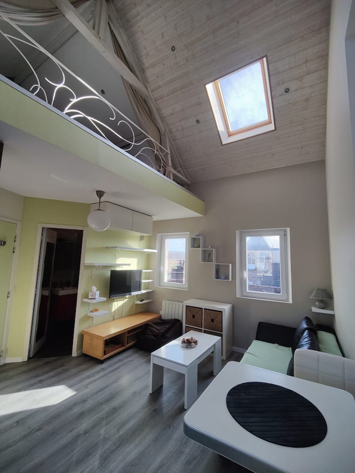 Duplex Lumineux Et Calme - Beauvais