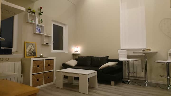 Duplex Lumineux Et Calme - Beauvais