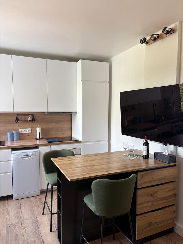 Appartement Calme Et Bien éQuipé - Chatou