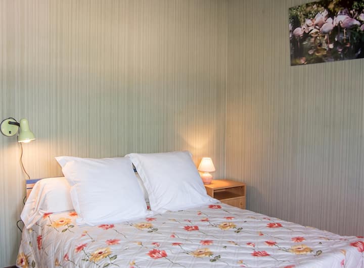 Maison Barcelonnette, Cheminée - Barcelonnette