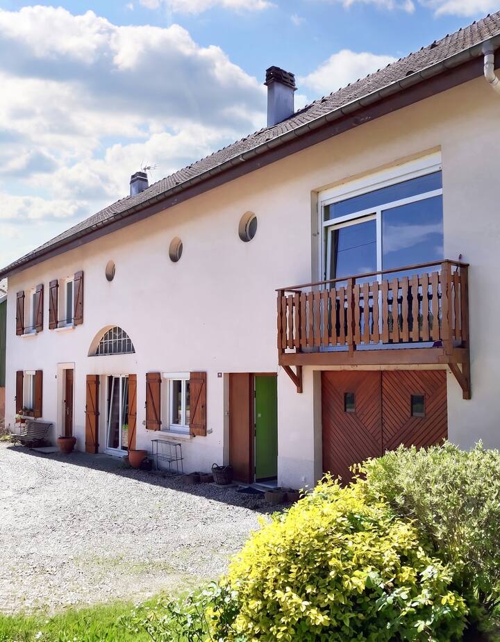 Appartement Confortable Avec Jardin - Saint-Dié-des-Vosges