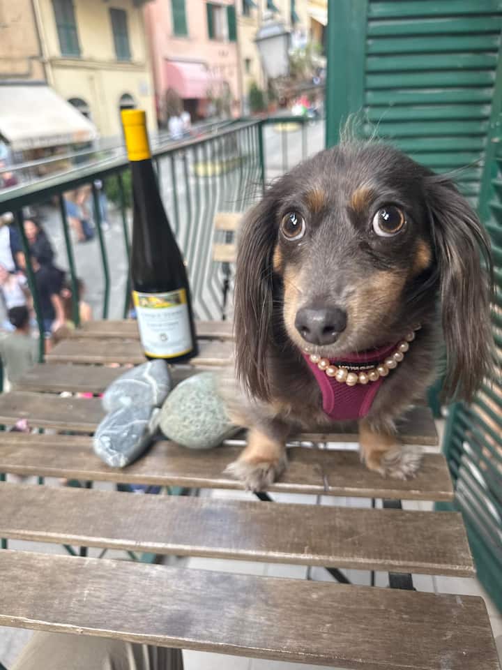 Il Poggiolo Di Rio - 5terre Accogliente Trilocale - Riomaggiore