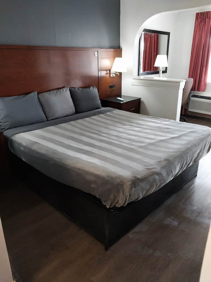 (202) King Bed Hotel Suite - Jackson, MI