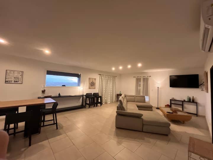 Magnifique Maison, Avec Vue Sur Les Pyrénées. - Bram