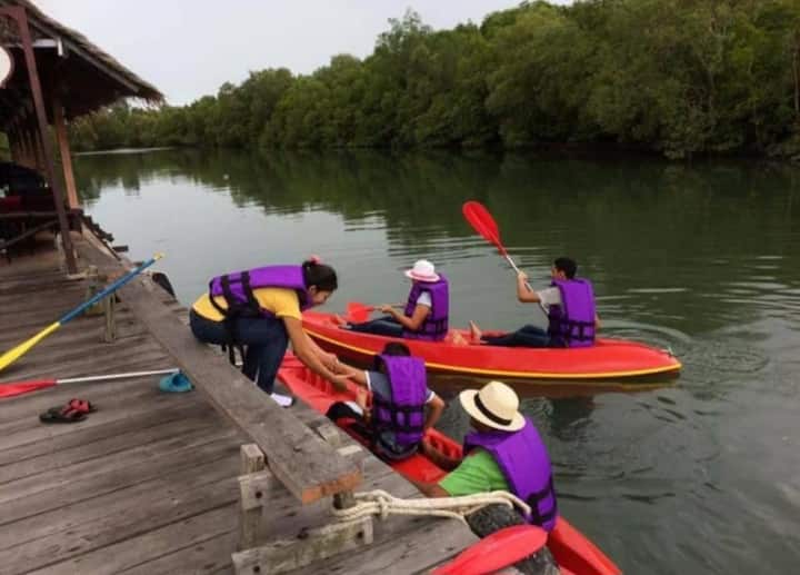 Chilling River And Mangrove View 2 Double Room - Phuket