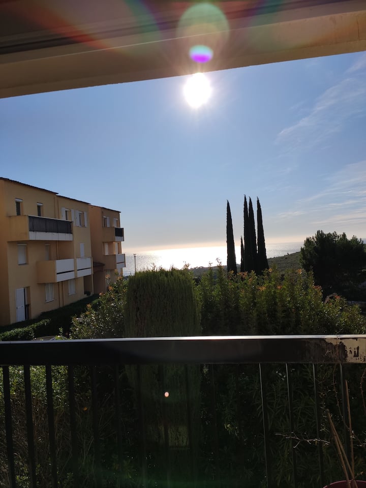 Azura Cassis Type T2/3 - Cassis