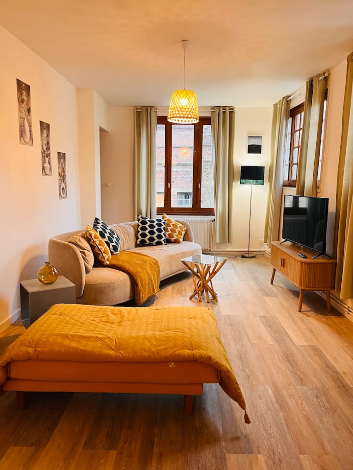 Duplex Au Palais De Justice - Douai